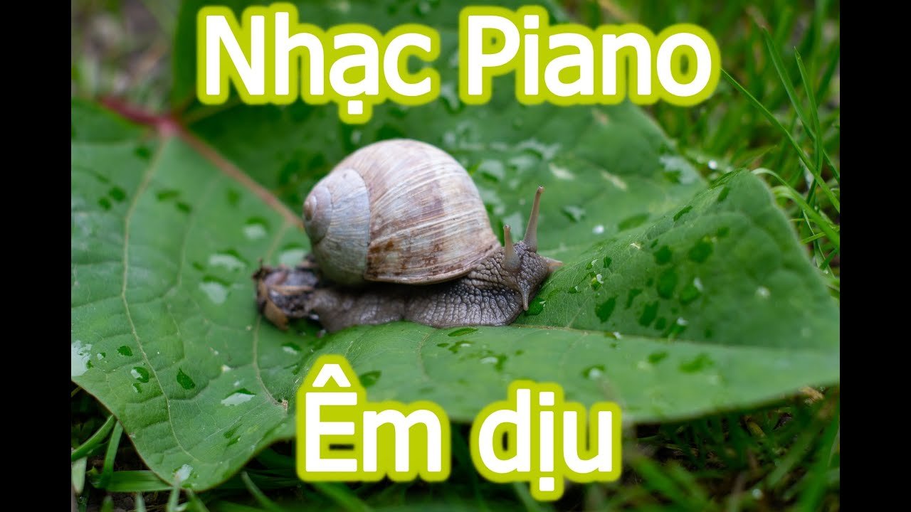 Nhạc hòa tấu không lời Piano êm dịu | Nhạc nhẹ dễ ngủ | Bình Yên ...